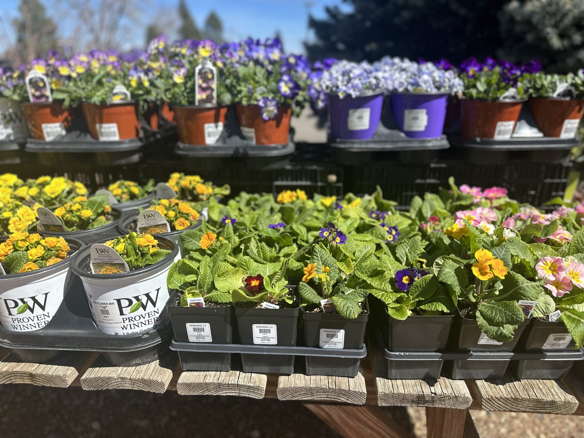 HOME - The Flower Bin
