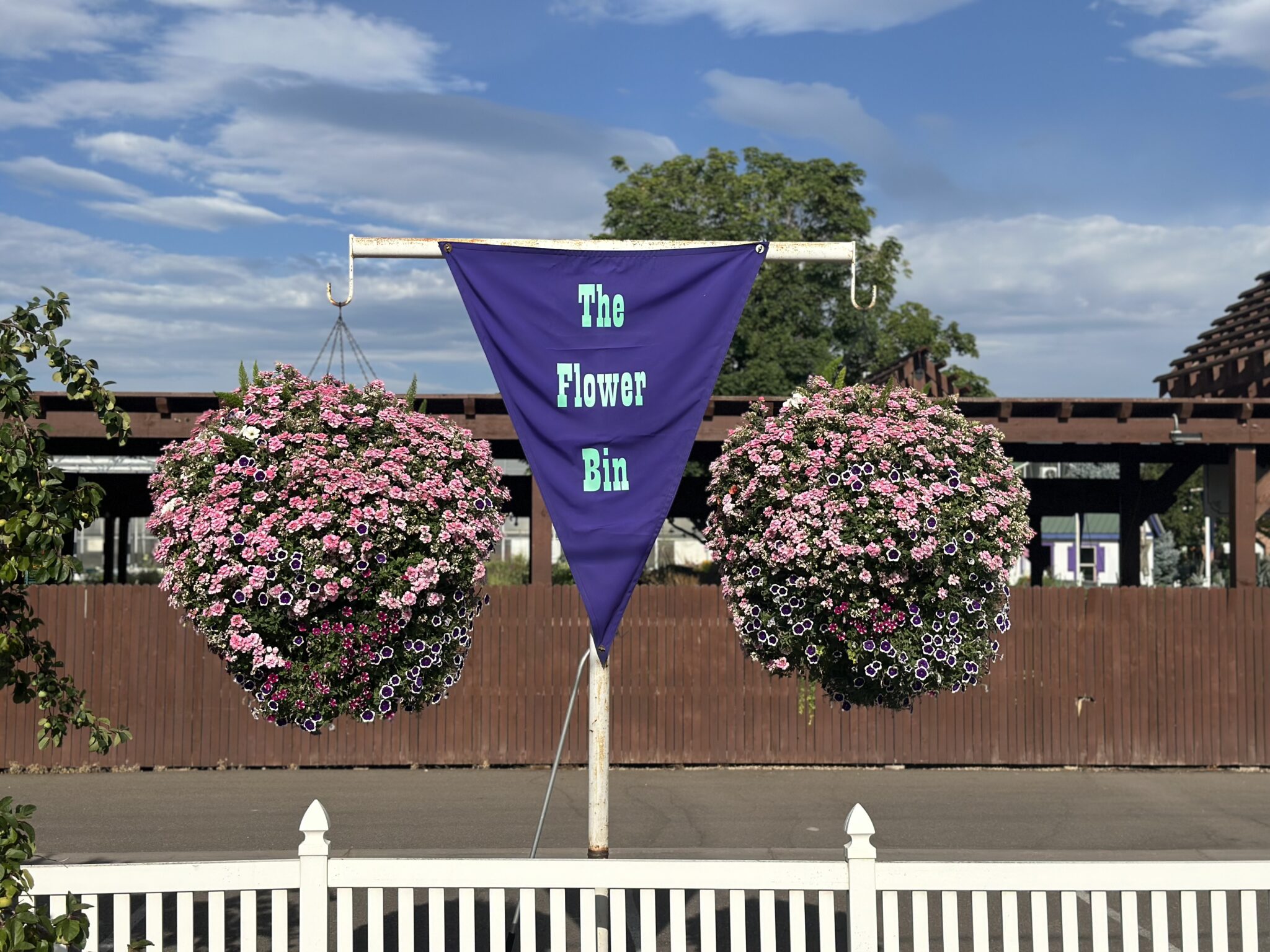 HOME - The Flower Bin