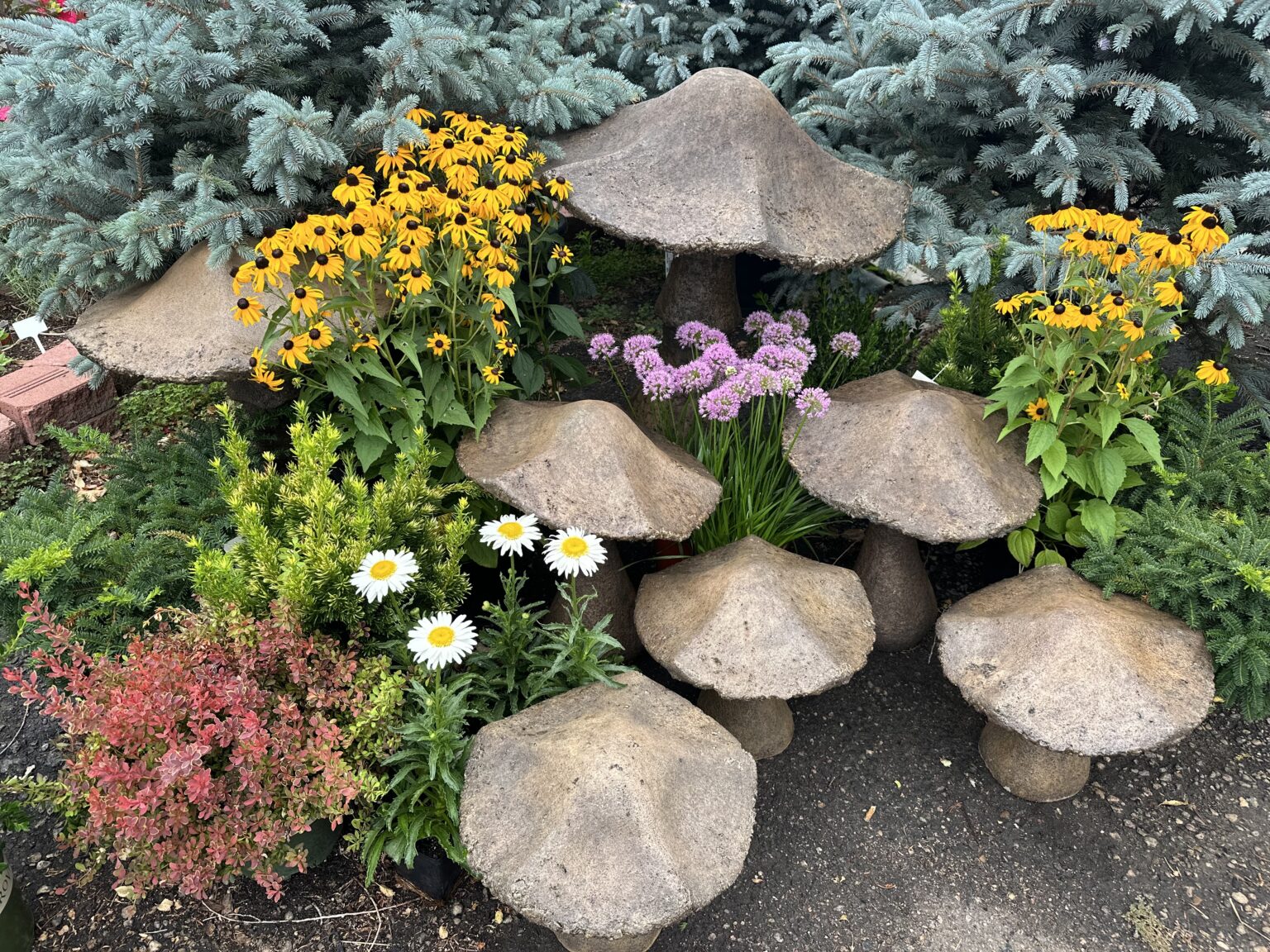 HOME - The Flower Bin